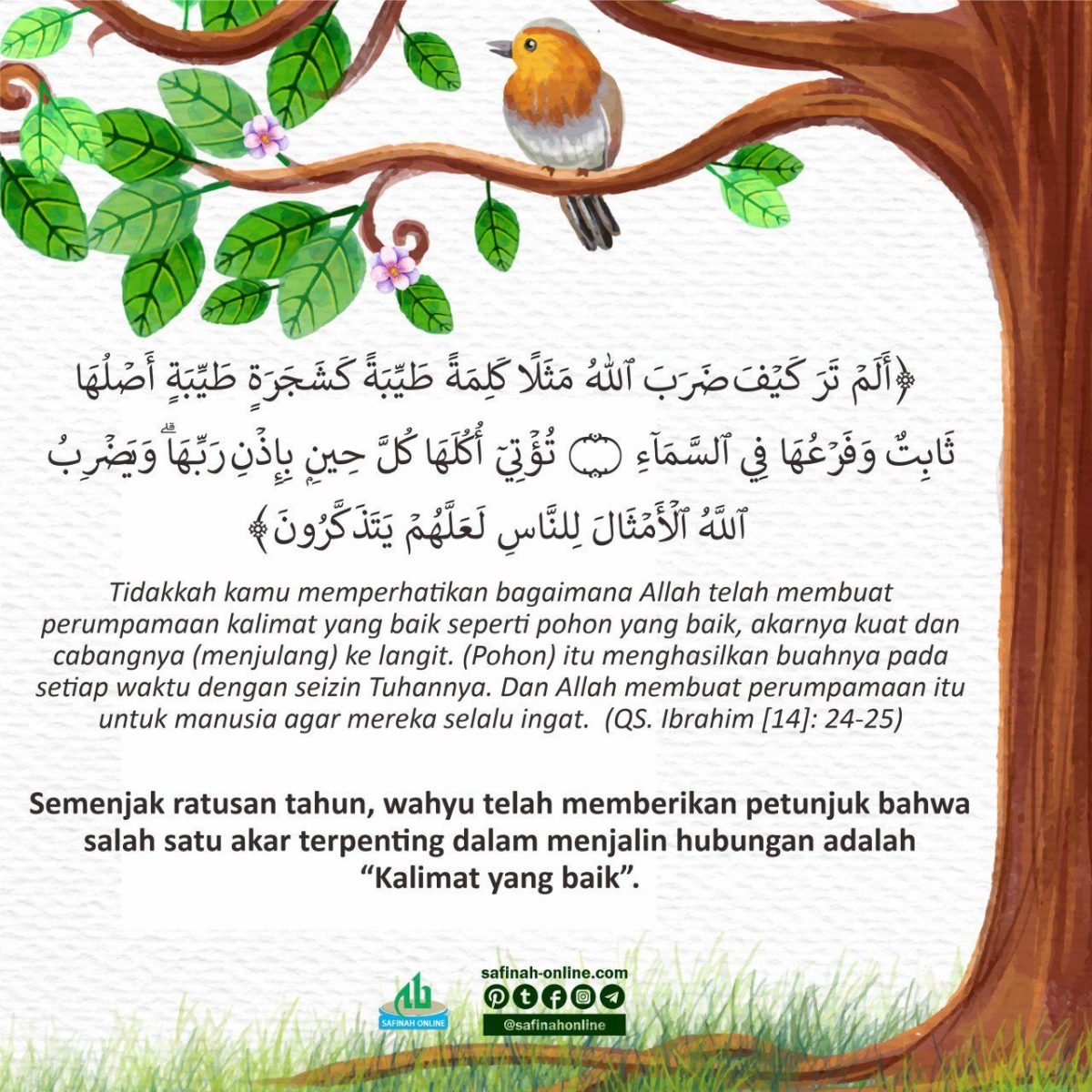 Sehari Satu Ayat: Kalimat seperti Pohon – Safinah Online